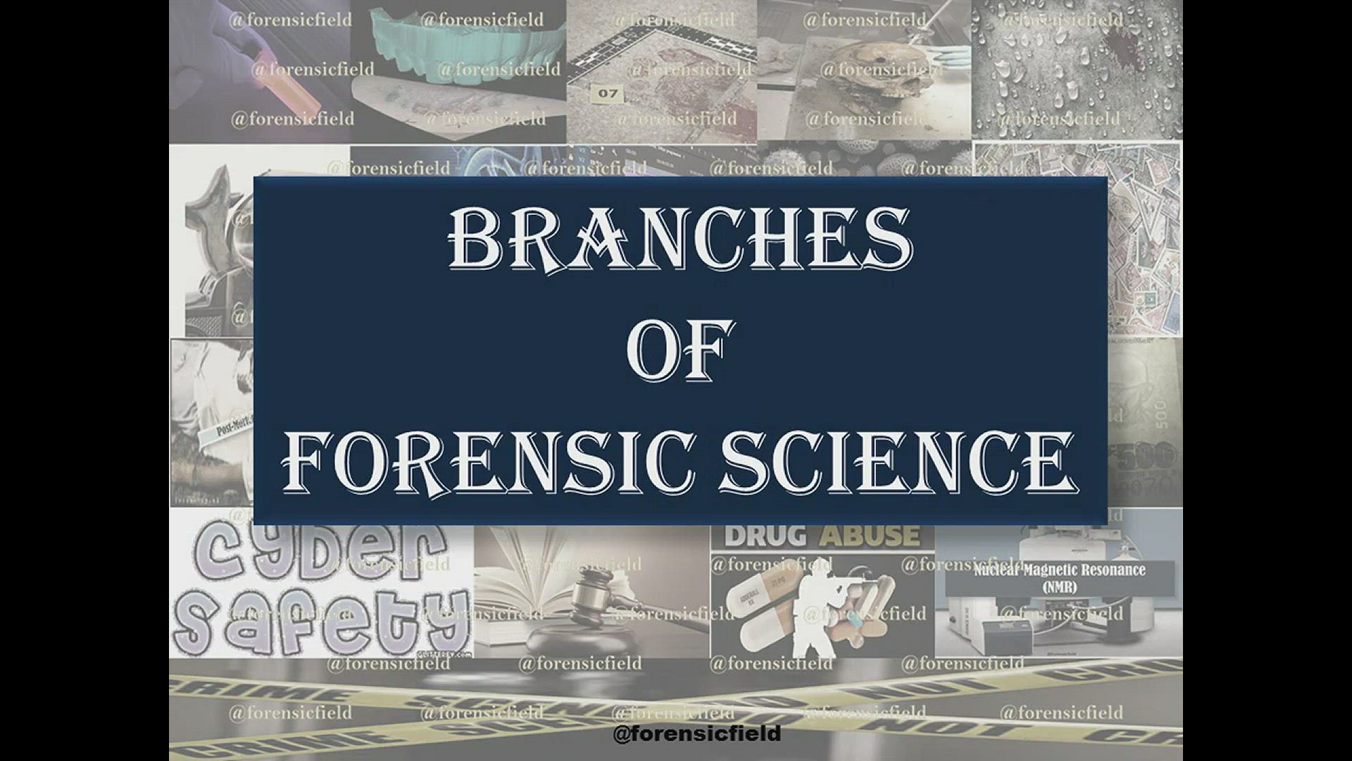 Branches of Forensic Science (Detailed info)