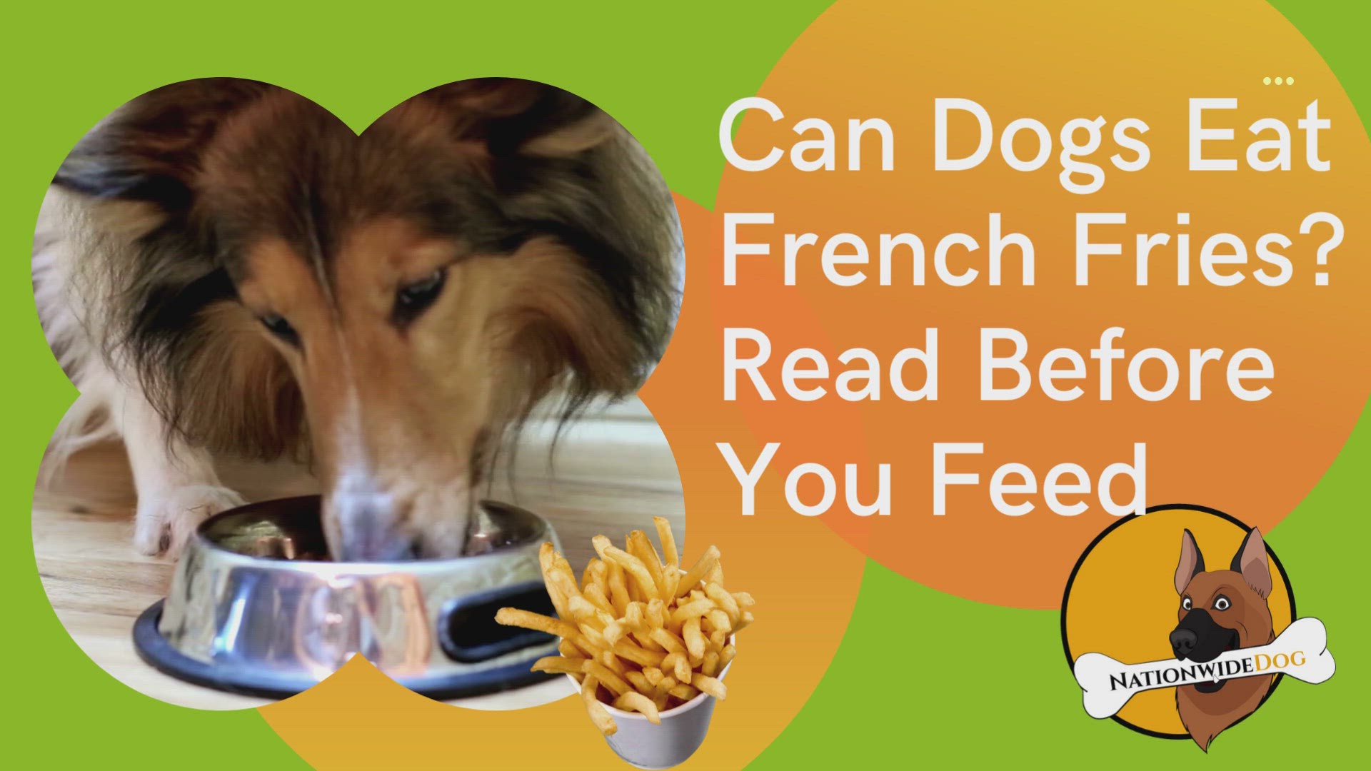 Can Dogs Eat French Fries